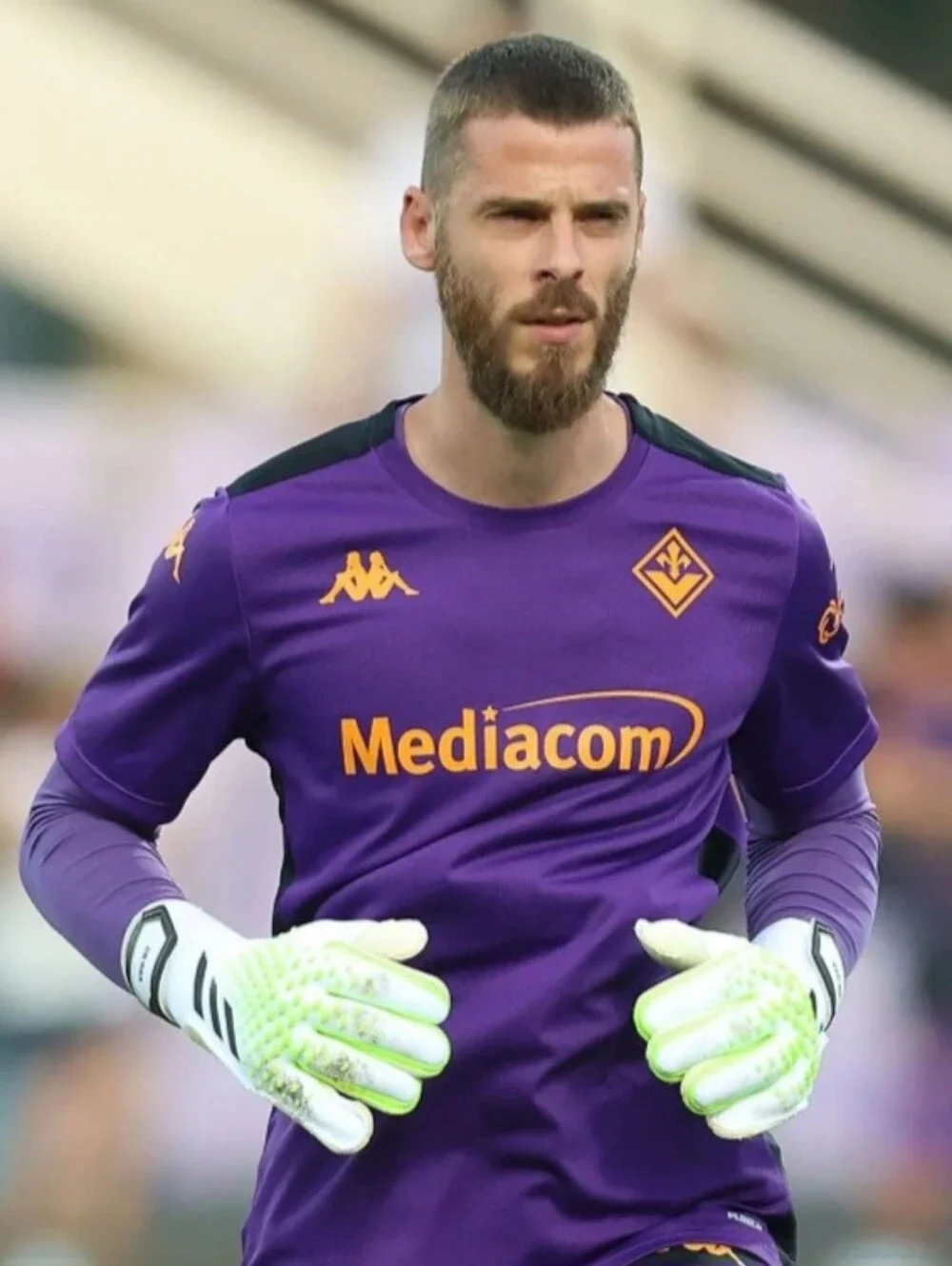 Toys | 223 Panini Premier League Adrenalyn Xl David De Gea Manchester ...